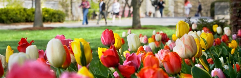 Object Codes | Cornell University Division of Financial Affairs